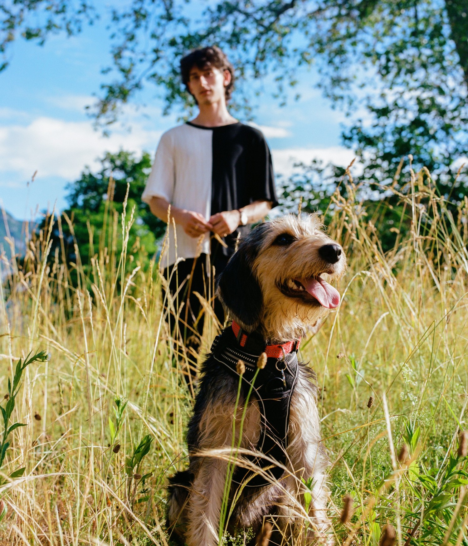 Crest Clothing | Dimanche